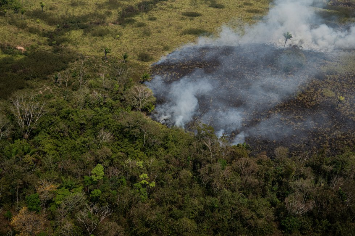 Amazon on Fire | Rainforest Journalism Fund