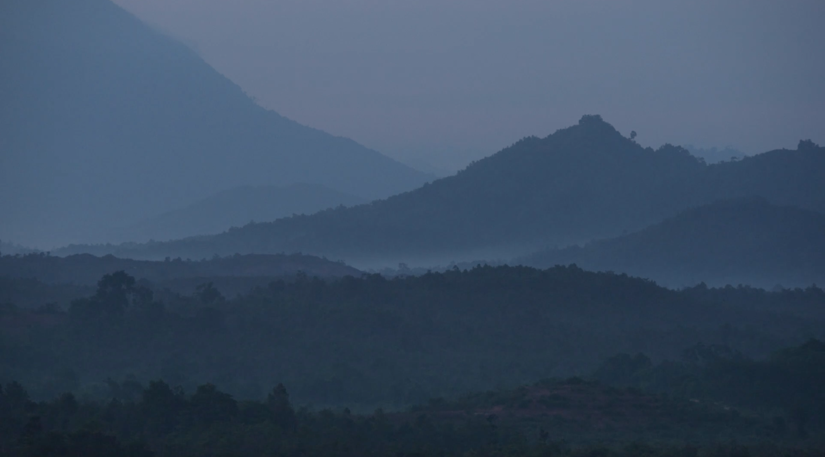 Mist and Mystery: Deforestation | Rainforest Journalism Fund Mist and Mystery: Deforestation | Rainforest Journalism Fund
