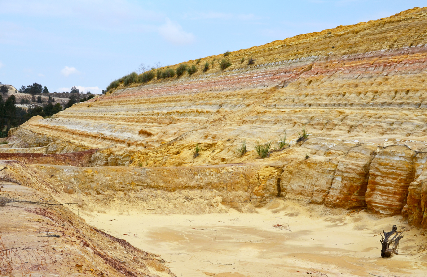 Leaving the Poor to Cope Alone: South Africa's Failed System of Mine ...