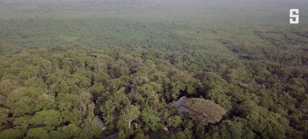 Lungs of the Earth - Central Africa | Rainforest Journalism Fund