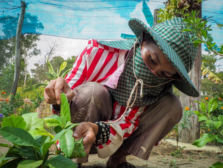 Joe Patchett | Rainforest Journalism Fund