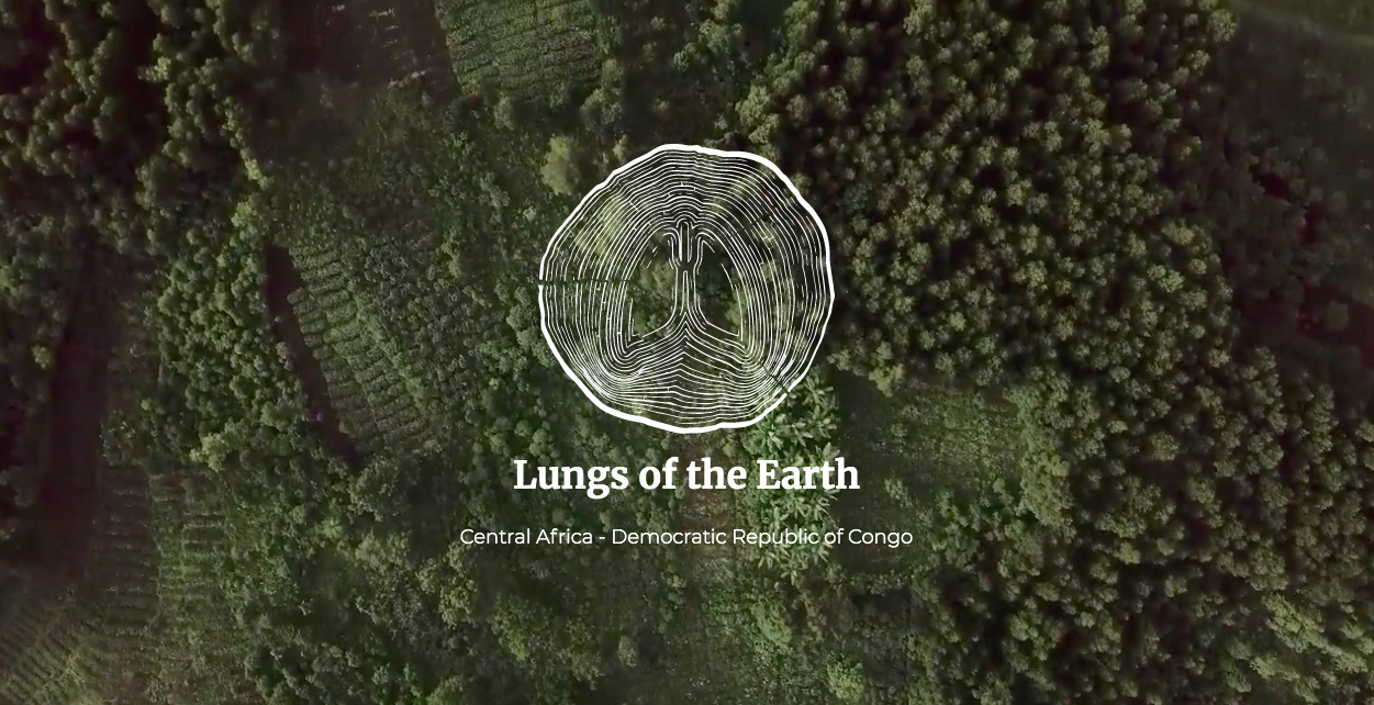 Lungs of the Earth - Central Africa | Rainforest Journalism Fund