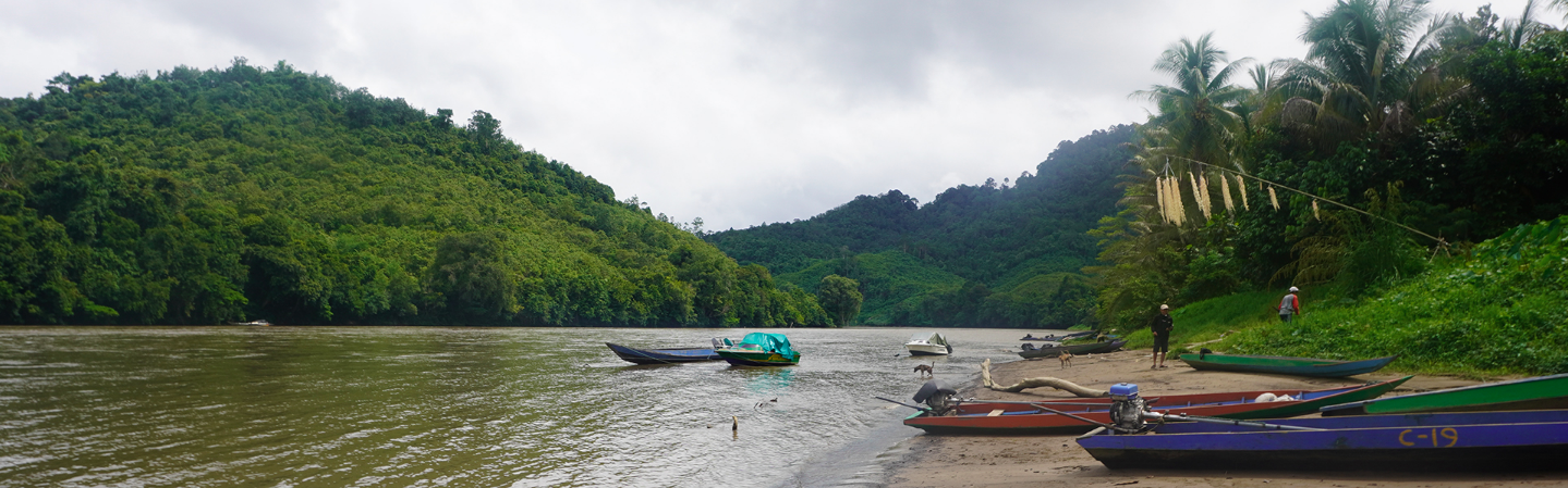 The Threat of Hydropower To the Kayan River Ecosystem | Rainforest ...