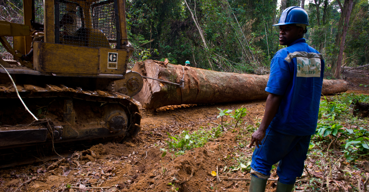 Gabon: Towards Sustainable Certification of the Timber Industry ...