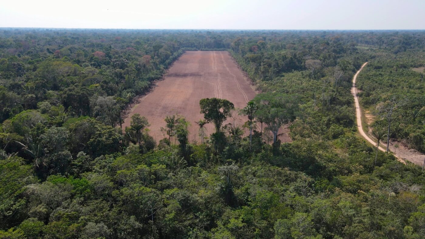 The Deforestation of Masisea's Communal Lands Led by the Mennonite ...