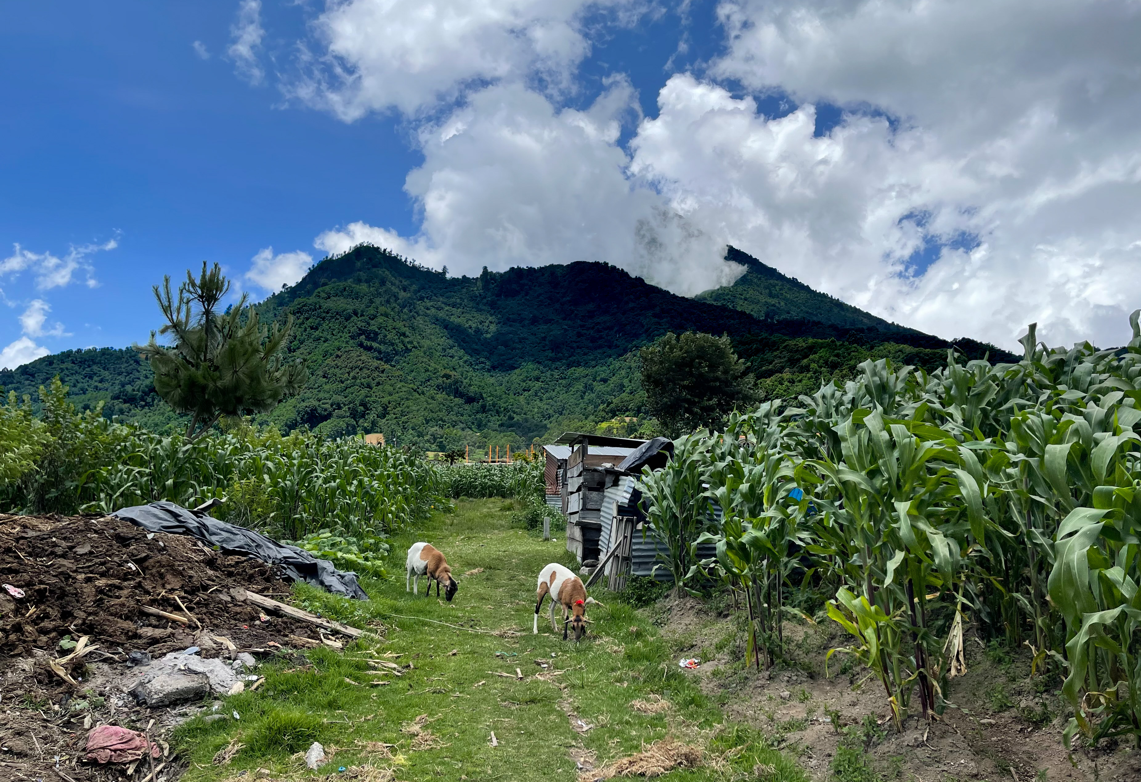 Guatemala: Calling in the Spirit | Rainforest Journalism Fund