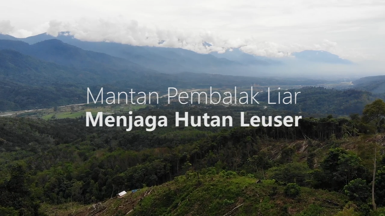The Story of the Encroachers who are now Rangers in Mount Leuser ...