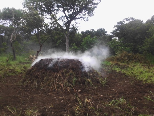 Mount Kei Forest Reserve and Cross-Border Criminals | Rainforest ...