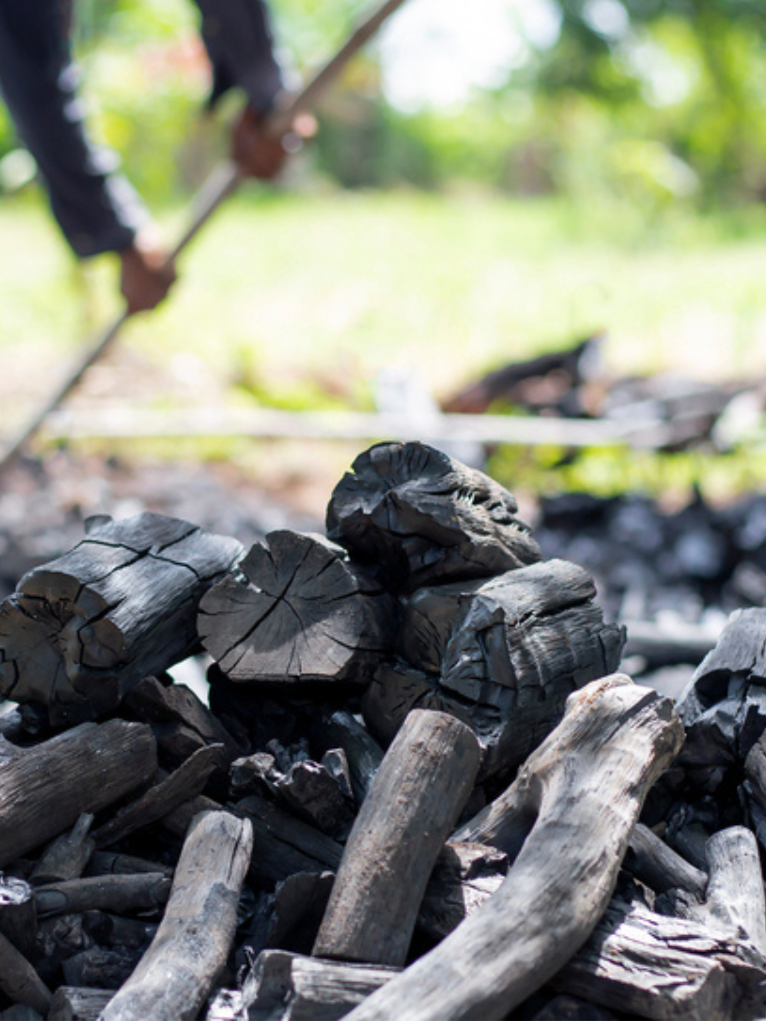 How Charcoal and Firewood Devour Forests in Rwanda | Rainforest ...
