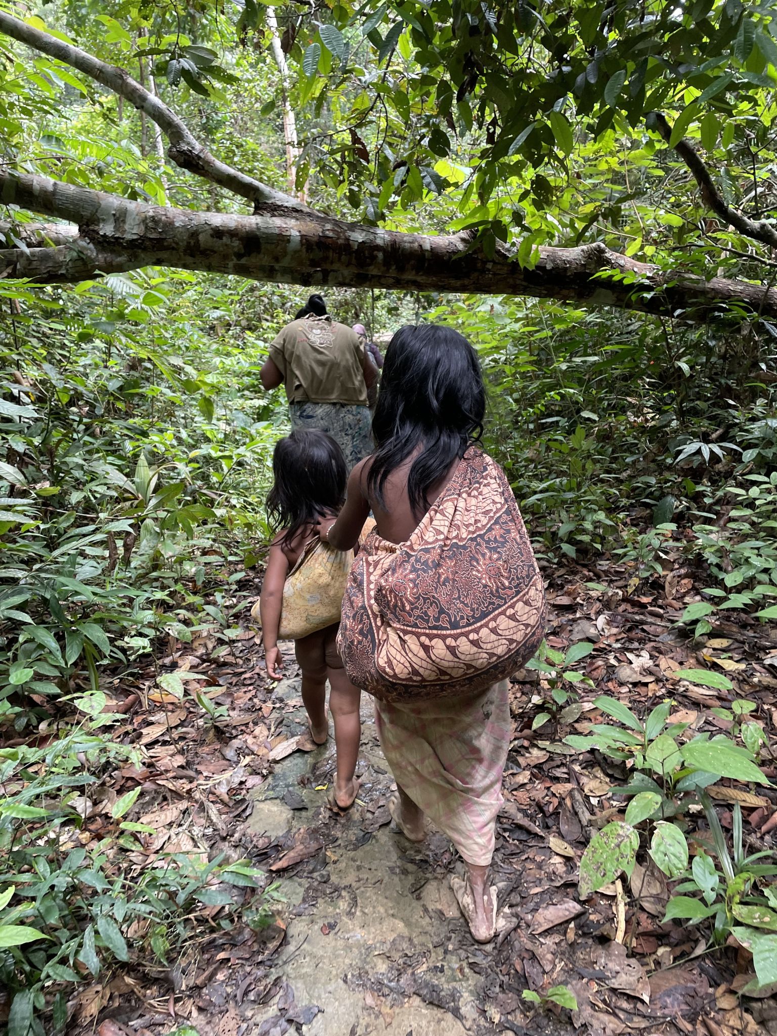 Orang Rimba dan Penyembuhan dari Tengah Hutan | Rainforest Journalism Fund