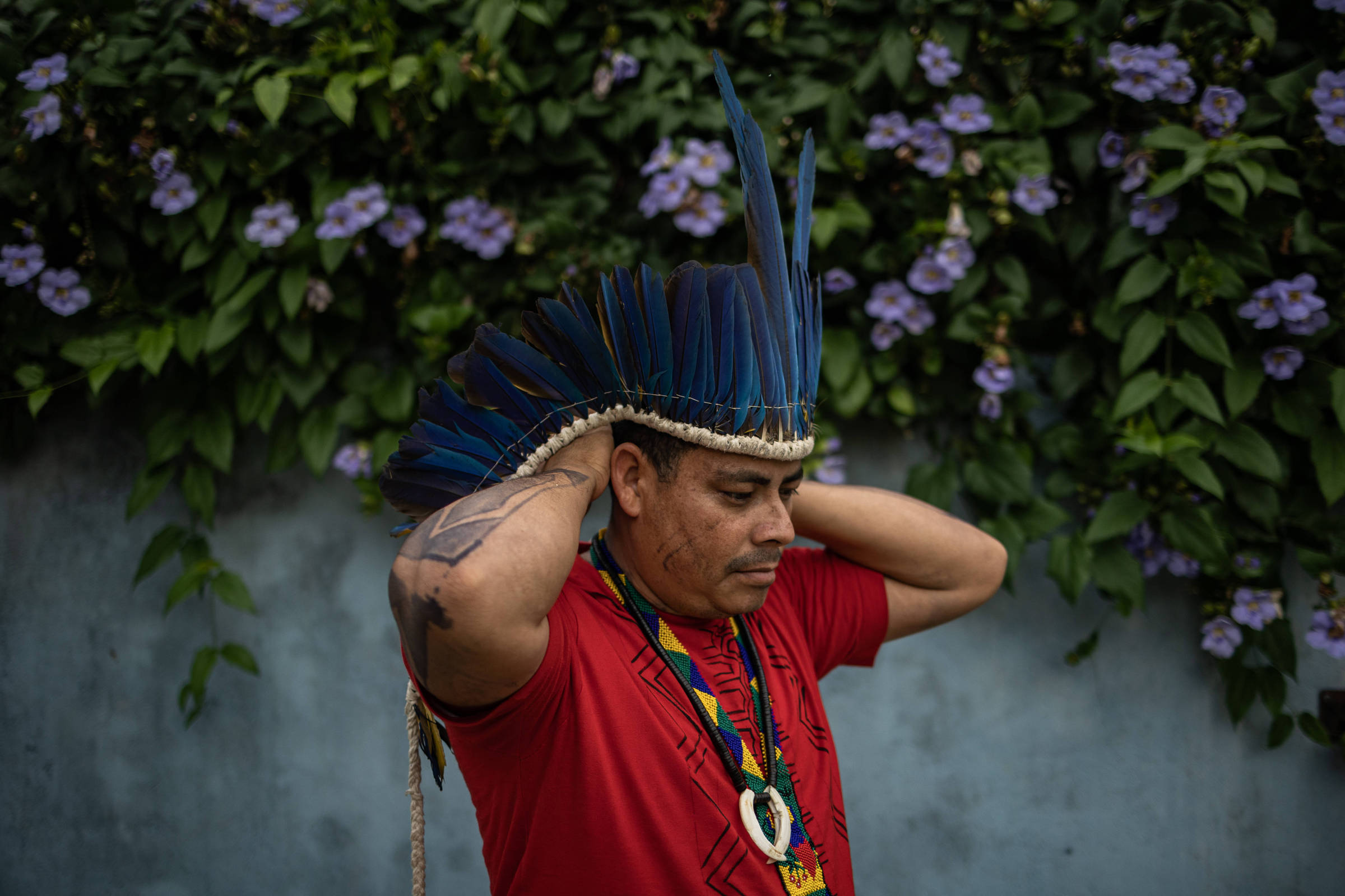 Radio: Indigenous Candidates and Voters: Why the North Does Not Elect ...