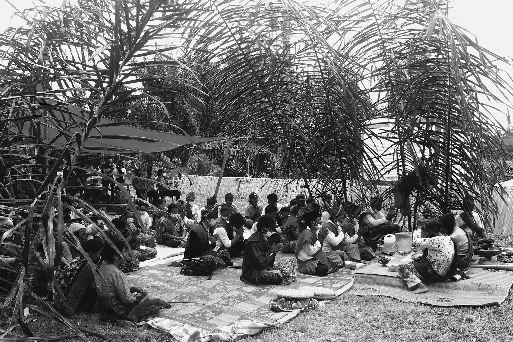 Imprisoned for Farming on Their Ancestral Land: The Grief of Indigenous ...