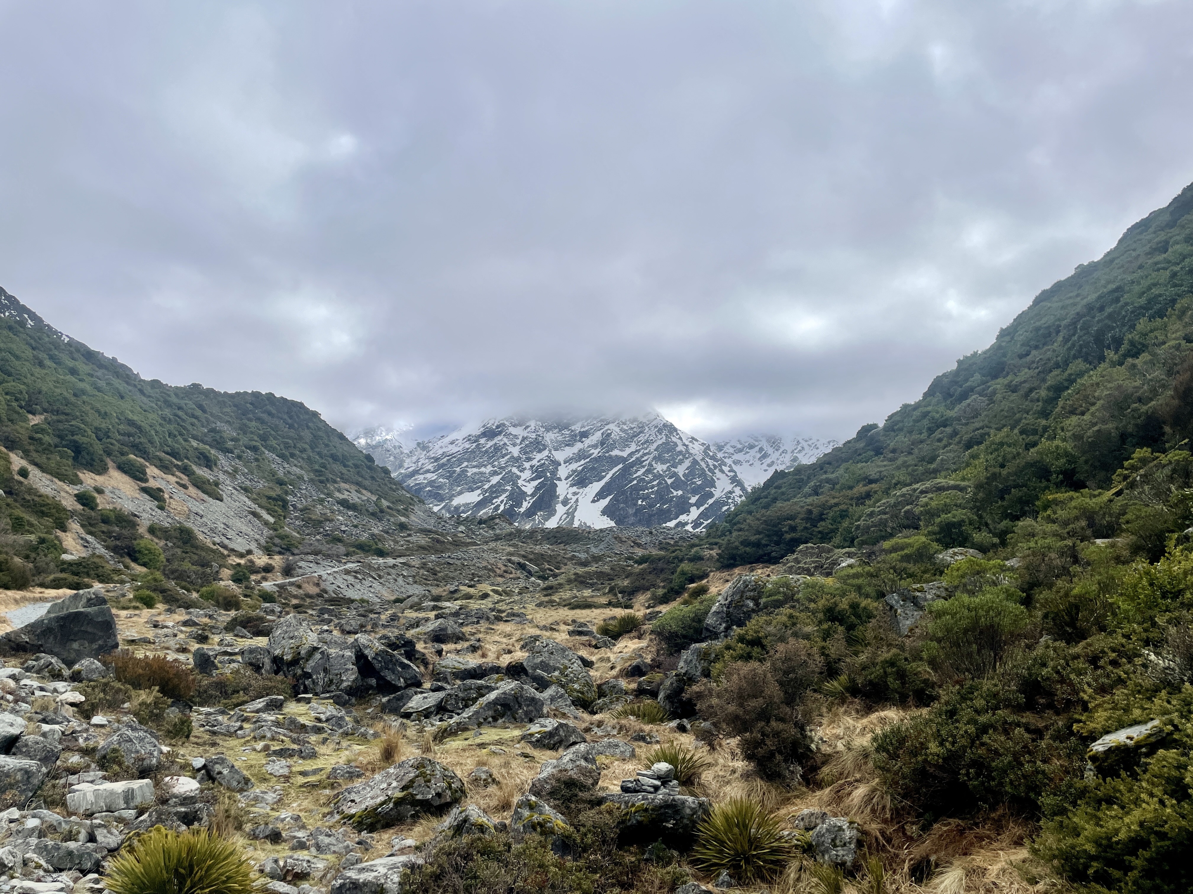 Lessons in Child Protection Linking New Zealand and the U.S ...