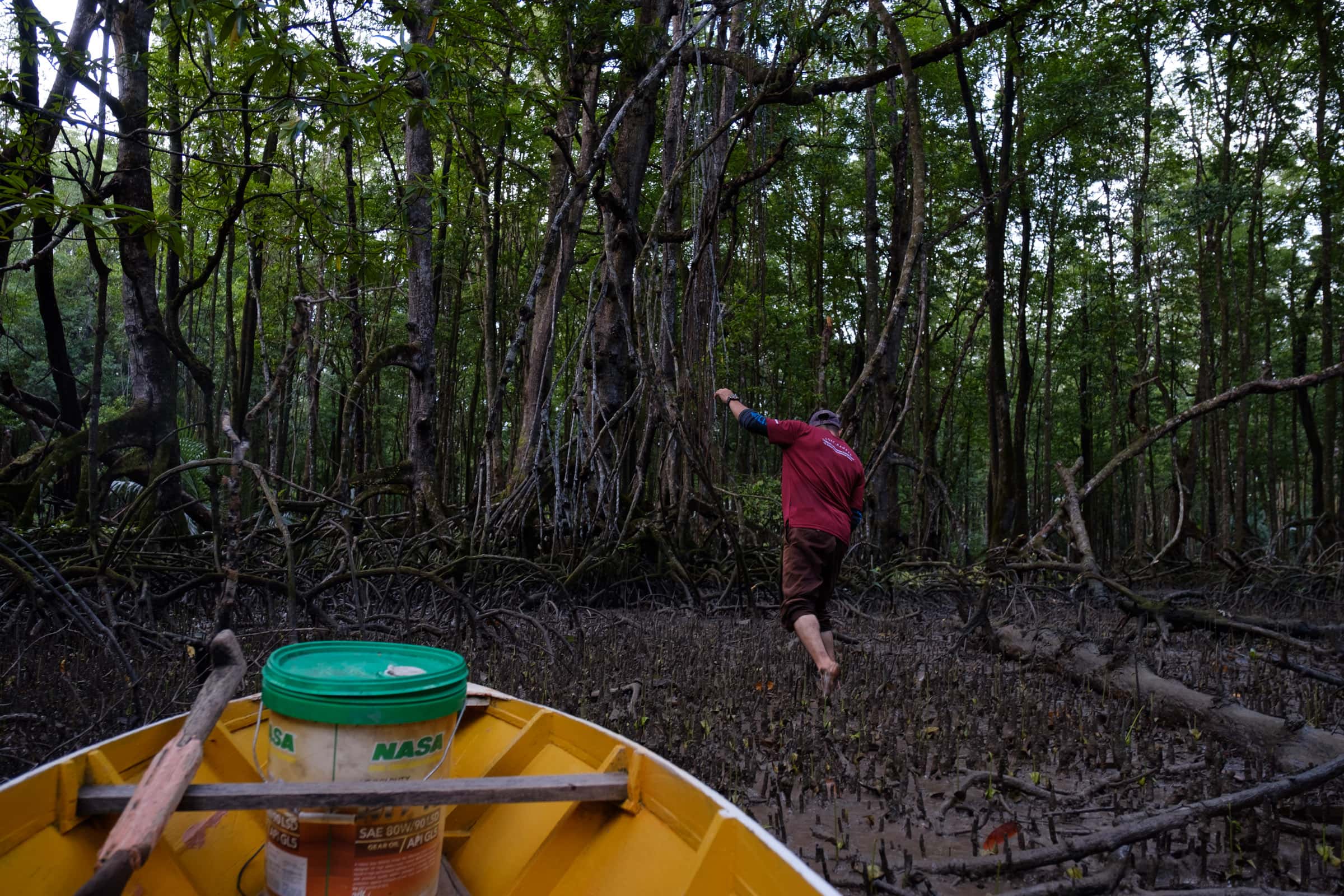 Sabah’s Mangrove Defenders | Rainforest Journalism Fund
