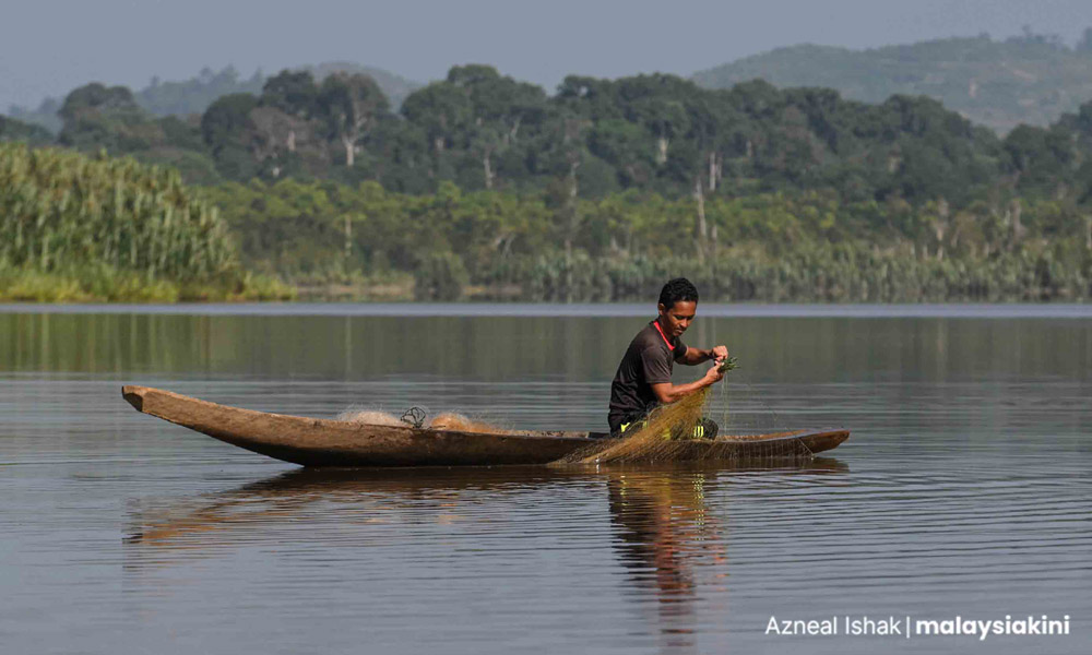 Undrinkable: The Story of Tasik Chini Pollution | Rainforest Journalism ...
