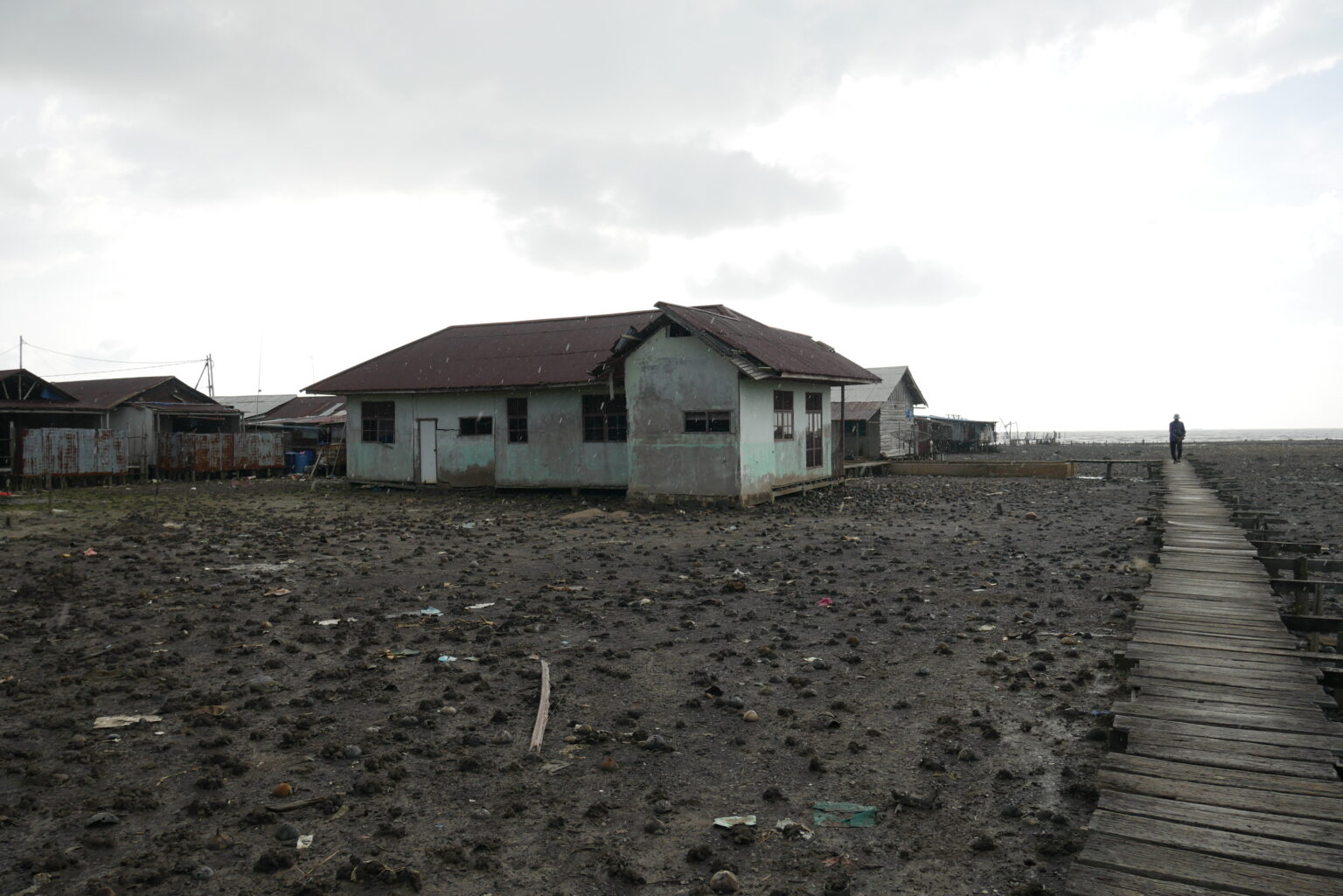 Degradation of Mangrove Forests in Indonesia | Rainforest Journalism Fund