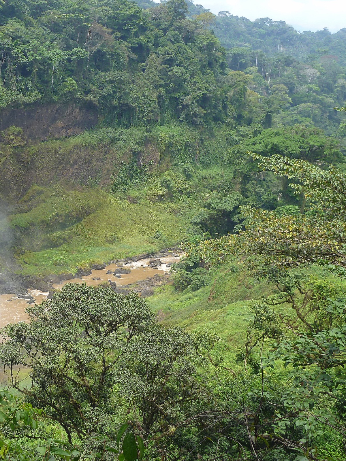 Biodiversity: Cameroon, Congo Face the Phenomenon of Human-Wildlife ...