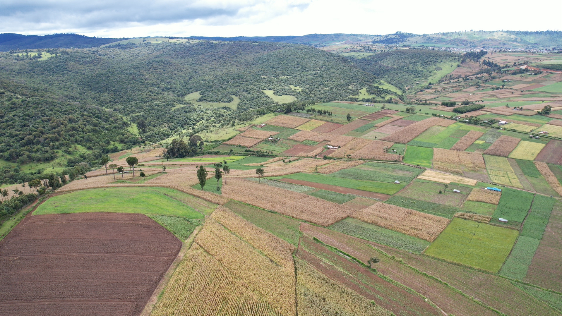Poverty and Desperation as Deforestation Drives Unprecedented Droughts ...