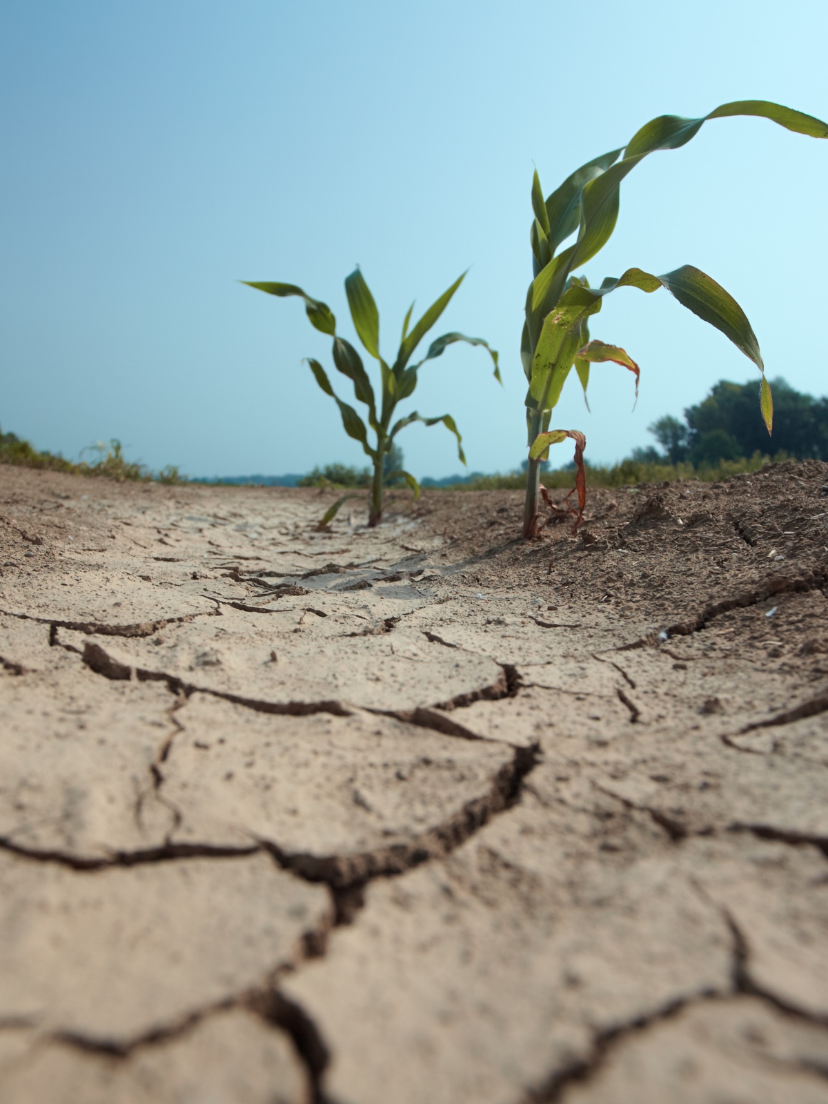 Kenya Becoming a Desert Due to Poor Land Use, Experts Now Warn ...
