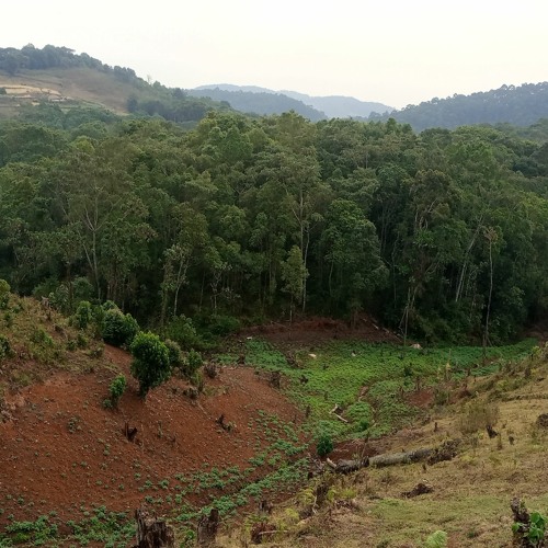 Burundi | Rainforest Journalism Fund