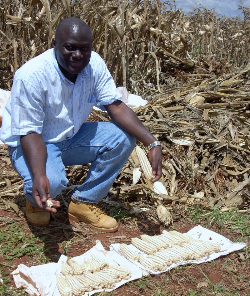 Kenya: Fighting Drought the Traditional Way | Rainforest Journalism Fund