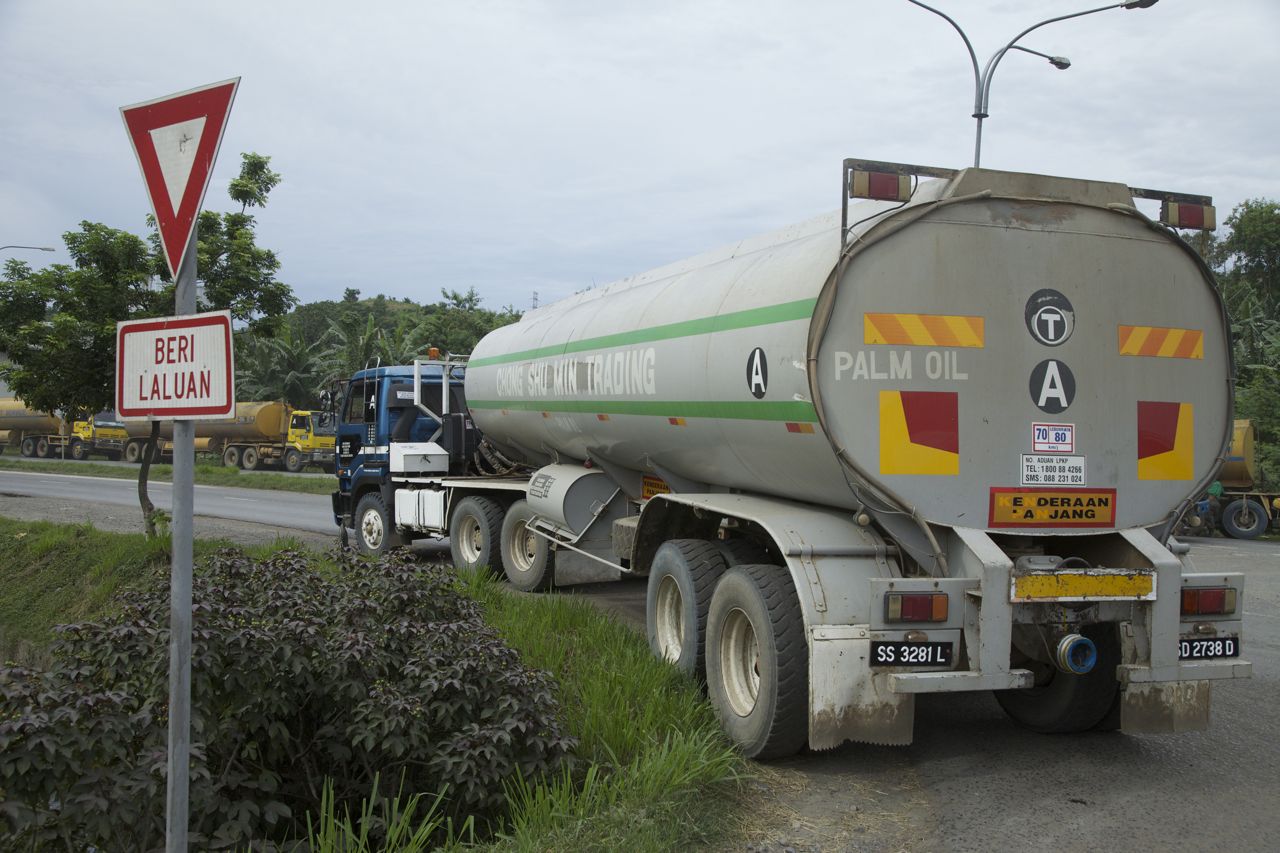 Borneo: Better Days for Some | Rainforest Journalism Fund