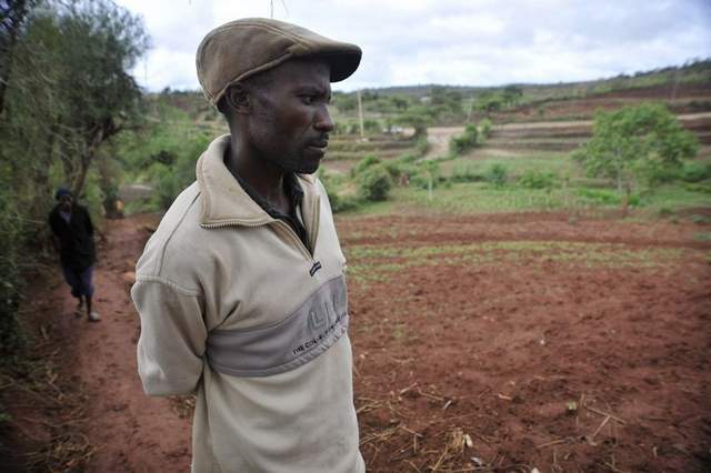 Biotech in Africa: High Hopes and High Stakes (Part 1) | Rainforest ...