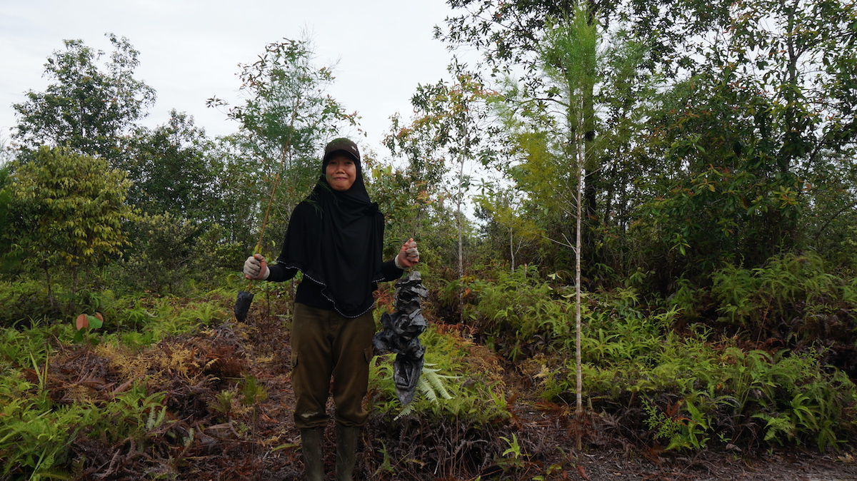 The Movement of Communities To Restore Forests Inside National Parks ...