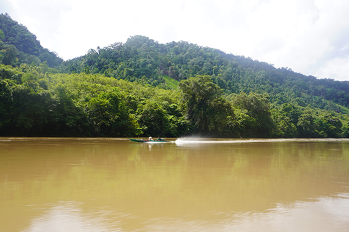 The Kayan Dam: How a Massive Hydropower Project will Affect Borneo's ...