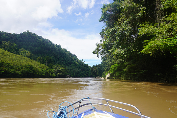 The Kayan Dam: How a Massive Hydropower Project will Affect Borneo's ...