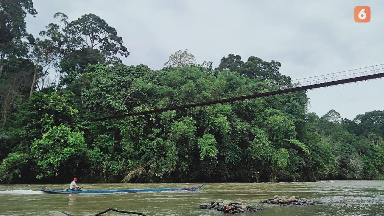 Unlicensed Gold Mining in Sumatran Indigenous Forests (bahasa Indonesia ...