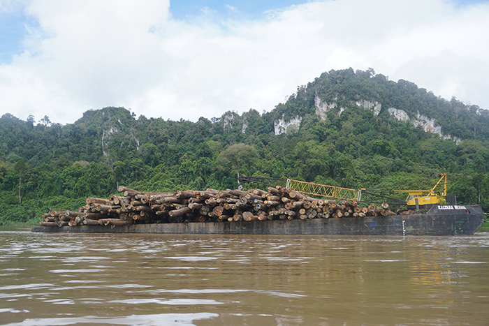 The Kayan Dam: How a Massive Hydropower Project will Affect Borneo's ...