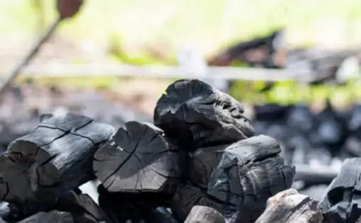 Extensive Deforestation Resulting From Commercial Charcoal, Firewood ...