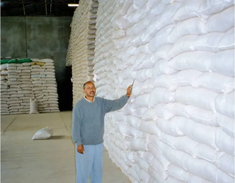 Lesson from a Famine: Markets Matter | Rainforest Journalism Fund