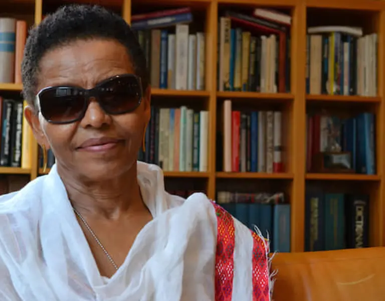 Ethiopia: Gebre’s Approach to Human Rights Is a Lesson in Change ...
