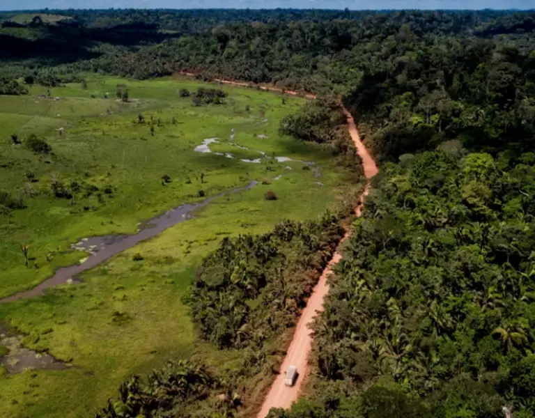 A Nun, a Shooting and the Unlikely Legacy That Could Save the Amazon ...