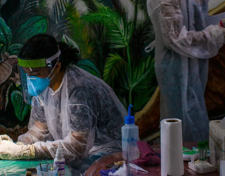 Scientists Scour the Amazon for Pathogens That Could Spark the Next ...