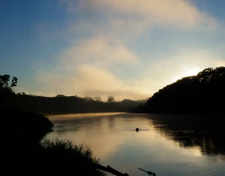 Una ruta corta para la impunidad — Parte 3: Yurúa, el distrito de las ...