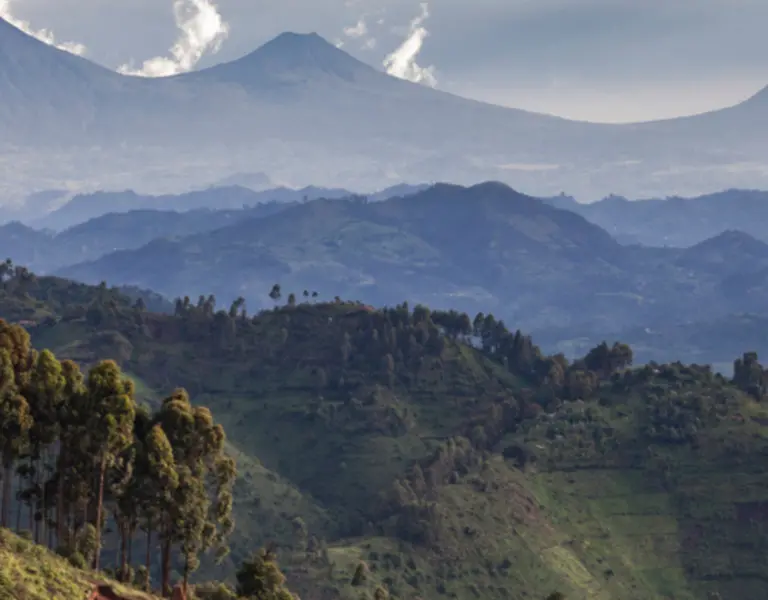 The Challenges of Safeguarding the Mayombe in the Face of ...