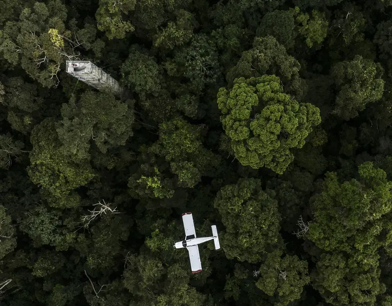 Podcast: This Researcher Captured Air From the Amazon in Dive-Bombs—And ...