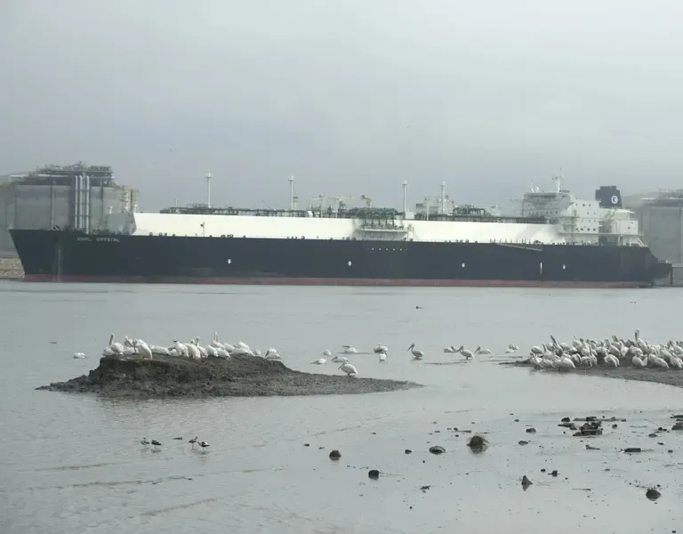 'All Gassed Up,' Part 1: The Carbon Coast | Rainforest Journalism Fund