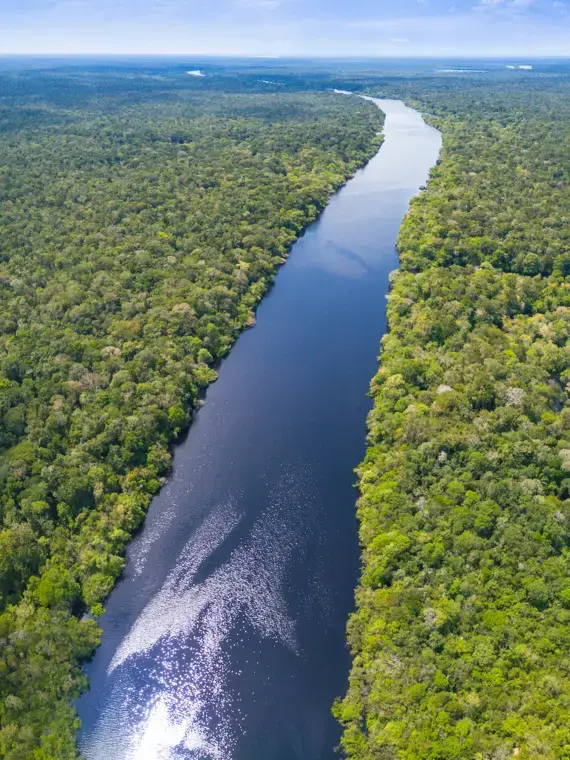 Panará, ‘Giant Indigenous People,’ Monitor Their Land Against Recent ...