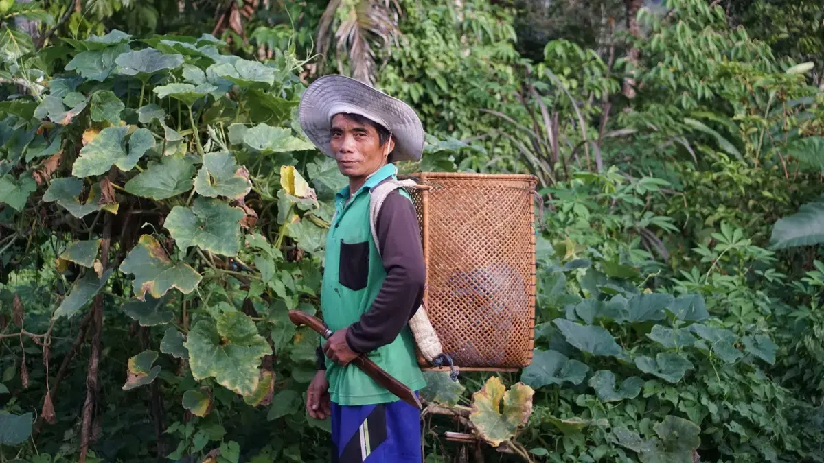 Samon: I Climb Trees, I Get Honey (bahasa Indonesia) | Pulitzer Center