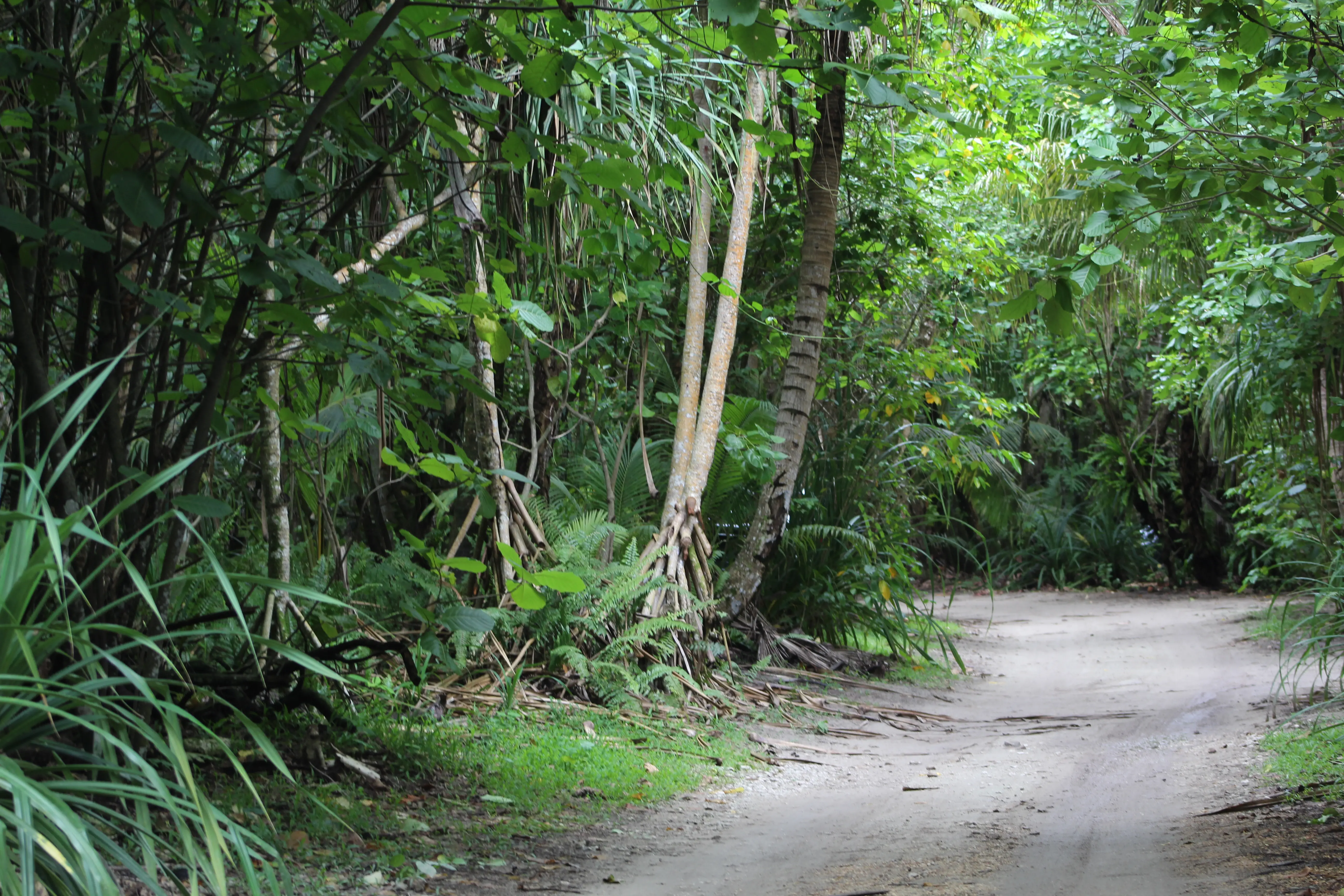 Guam: Love and Loss at Litekyan | Rainforest Journalism Fund