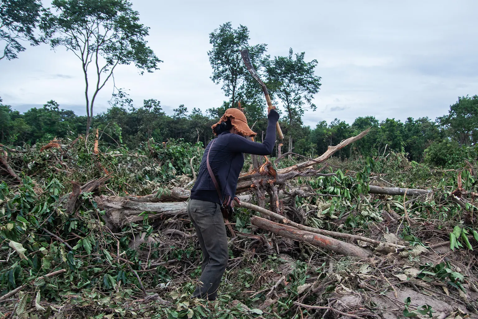 Cambodian Government Cancels Development of Phnom Tamao Forest Amid ...