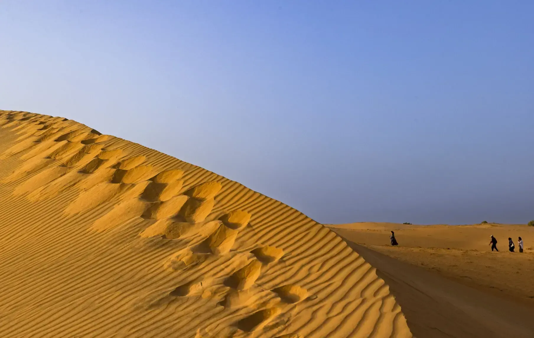 Behind the Story: 'The Saharan Connection' | Rainforest Journalism Fund